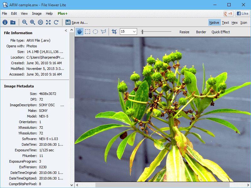 Open ARW Files