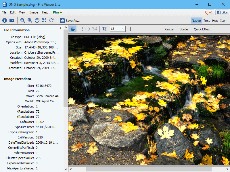 Open DNG Files