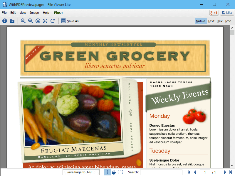 Open Apple Pages PAGES Files